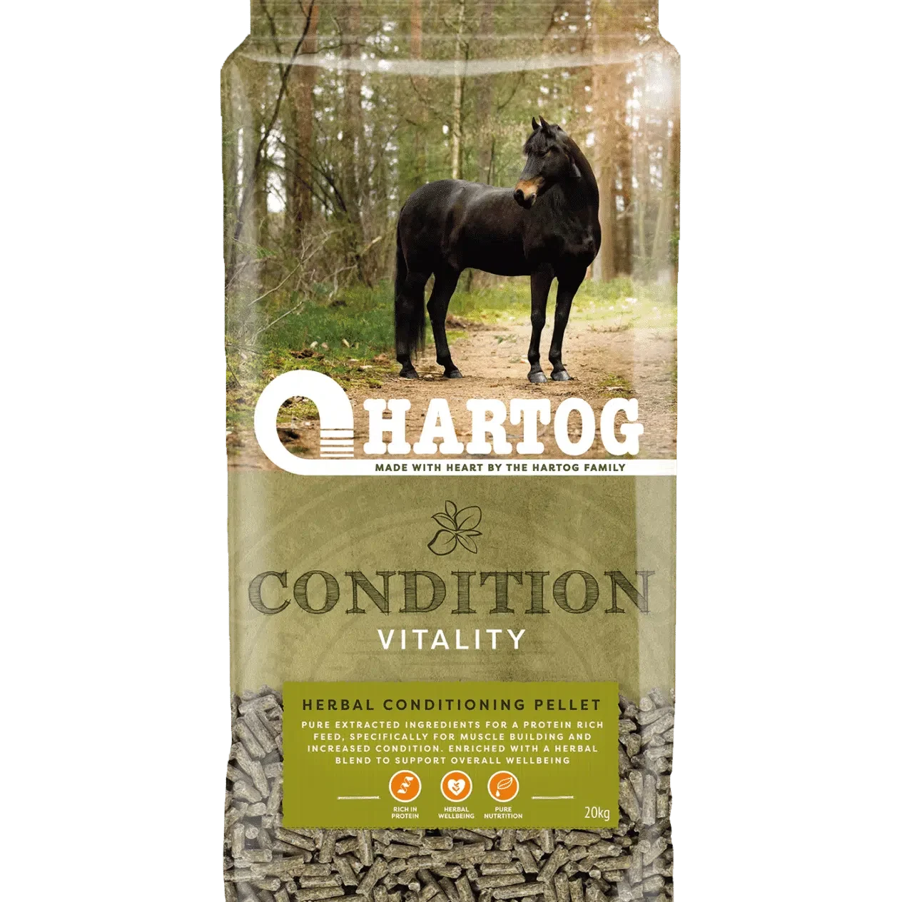 Hartog Condition – Quattro Sporthorses OÜ